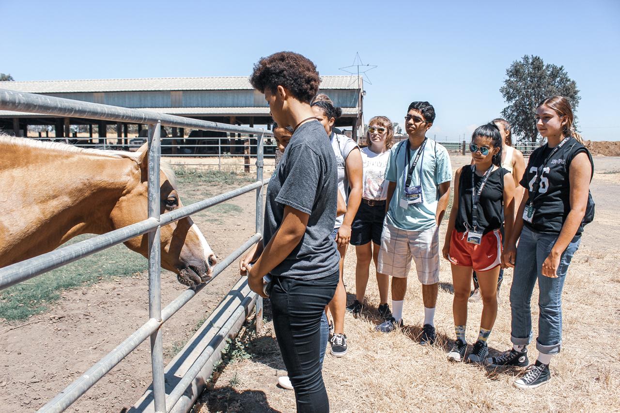UC Davis Continuing and Professional Education - Photo Gallery: Studying Equine with the UC ...